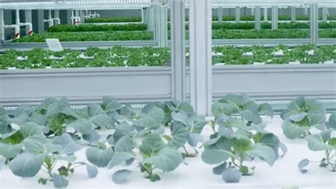 지하철역에 농장이로봇이 만드는 똑똑한 농장