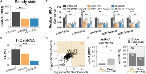 The Integrator Complex Regulates Microrna Abundance Through Risc Loading Science Advances