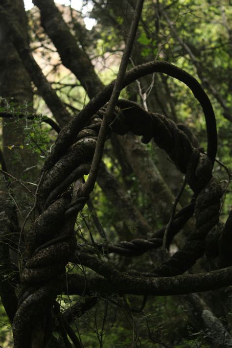 Emma Eikenaar Fotografi