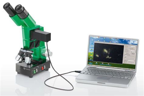 Promoting Management And Leadership Laboratory