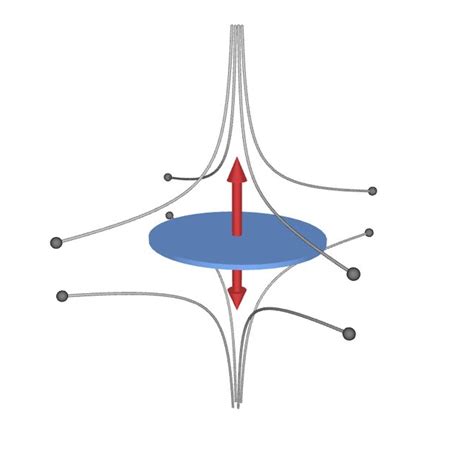 Inertial Particles Are Released In The Same Flow From The Same Download Scientific Diagram