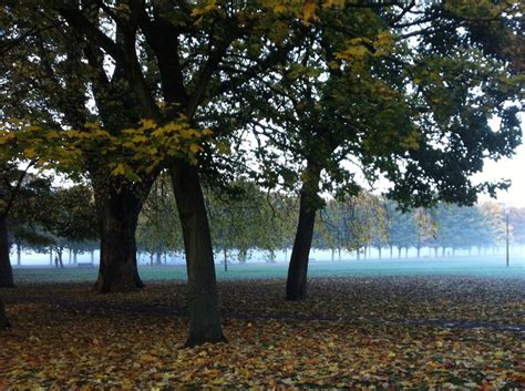 November In Edinburgh My World Your World One World