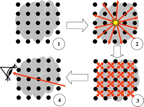 The Outline Of The Algorithm 1 The Volume Is Defined By A Voxel Grid