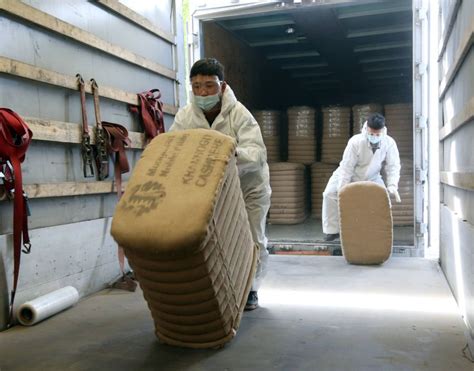 Монгол ноолуурыг Итали улс руу анх удаа тээвэрлэлээ Newswall