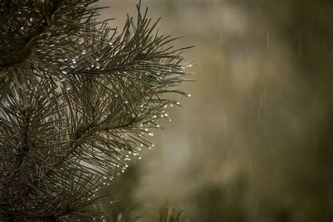 人工智能开源录：对话 Openi 启智社区 （二） 技术洞察 技术趋势 大厂实践 Infoq精选专题