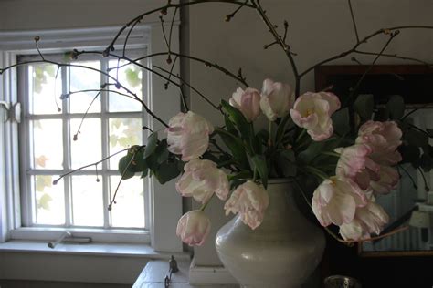 Spring Vignettes