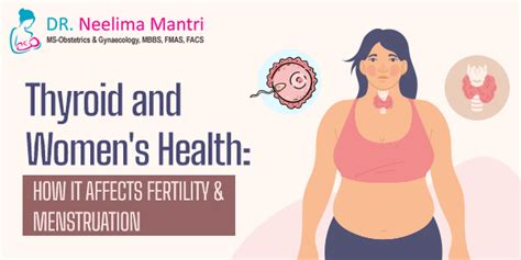 Thyroid And Womens Health Fertility And Period Impact