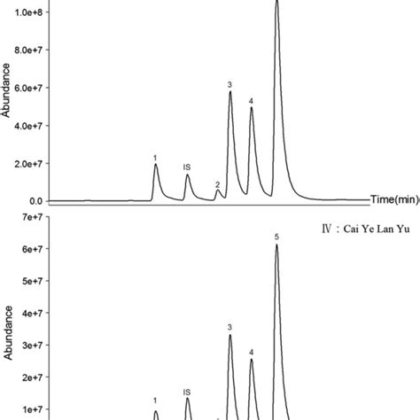 Gcms Chromatograms Of Fames Extracted From Seeds Of Six Representative