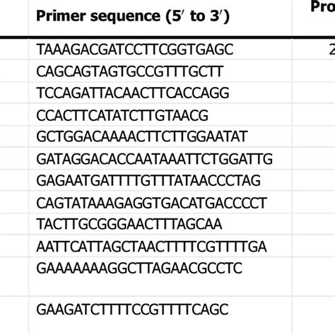 General Characteristics Of The Stratified Sampling Approach Download Scientific Diagram
