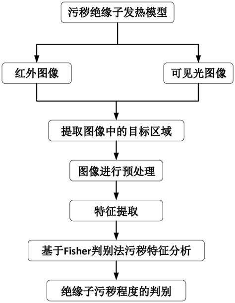 detection method for identifying contamination degree of insulator