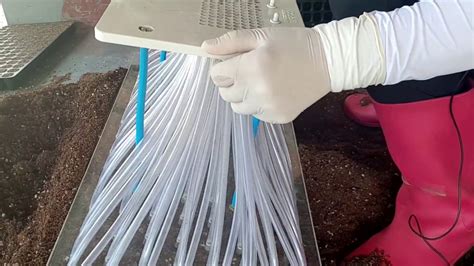 장안터골농부네 들깨포토 파종기로 들깨씨 뿌리기 Youtube