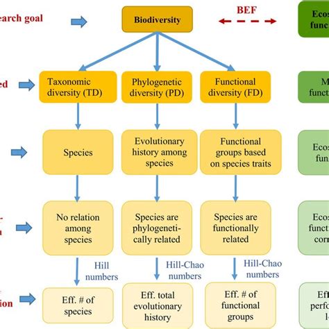 A Schematic Figure Showing Conceptual Similarity Between Biodiversity