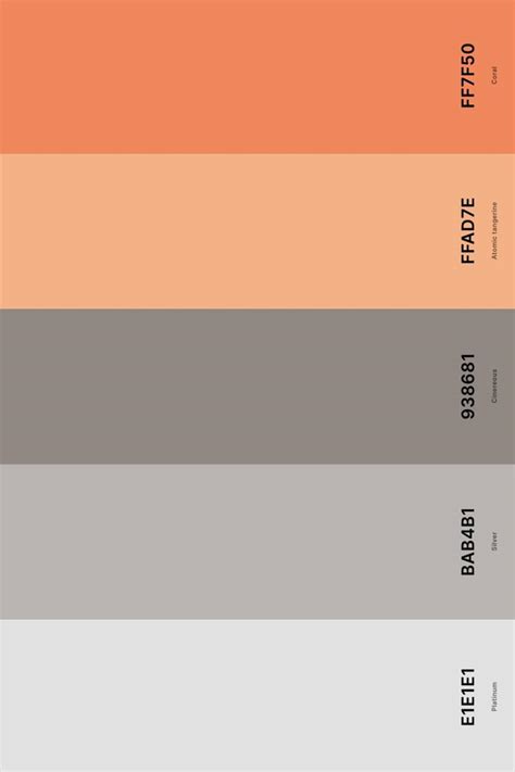 Coral Color Palette Hex Codes