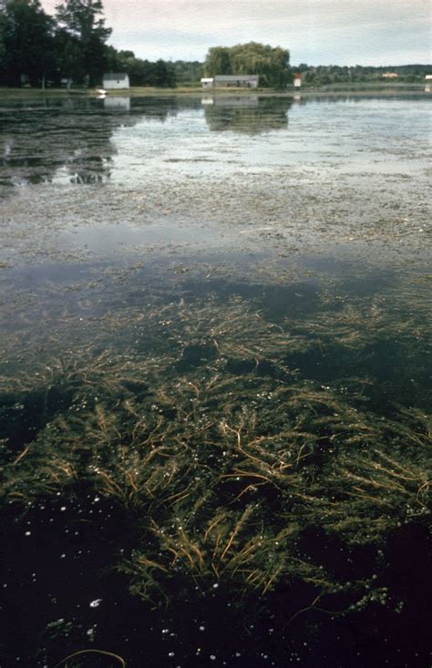 Earth Day 2017 Jarring Photos Of Polluted Great Lakes