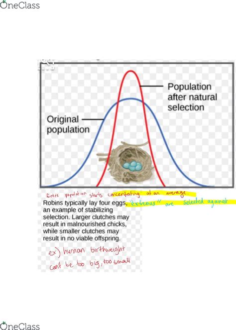 Diversifying Selection