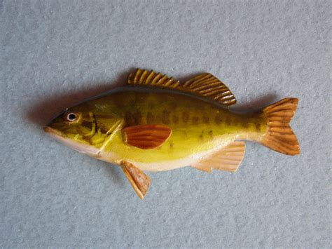 Juvenile Largemouth Bass Micropterus Salmoides 5 10 Inches 3d Wall