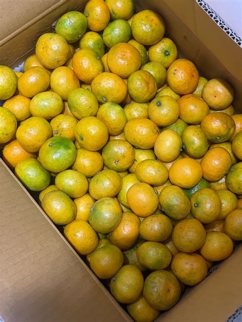 민트까사님의 스타일 우리의식탁 풍성해지는 스타일 정보