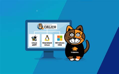 calico boxes up universal microsegmentation for containers techzine