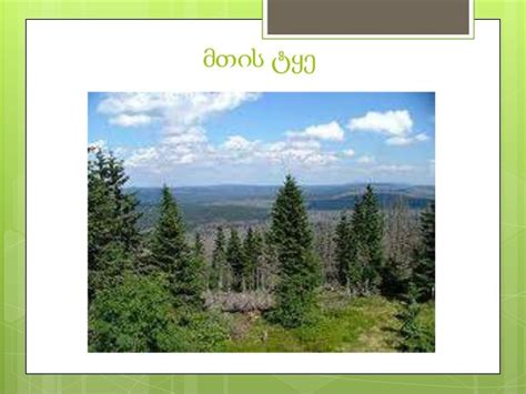 ტყე შეუნახეთ შვილებსა