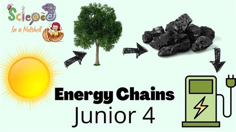 Energy Chain Diagram At James Jain Blog