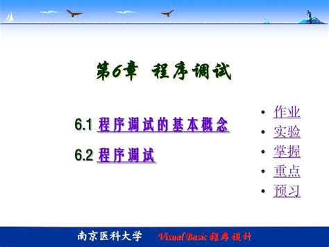 第06章 程序调试1学时word文档在线阅读与下载无忧文档