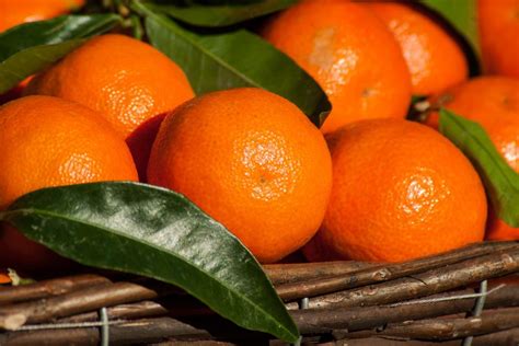 Clementine Nutrition Facts And Health Benefits Nutrition And Innovation