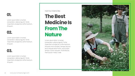 Herbal PowerPoint Presentation Presentation Templates GraphicRiver