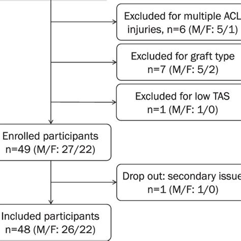 Flow Chart Of The Study Population Stratified By Sex Download
