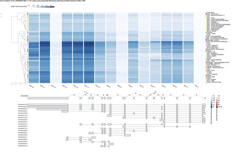 RNA Seq Data Analysis