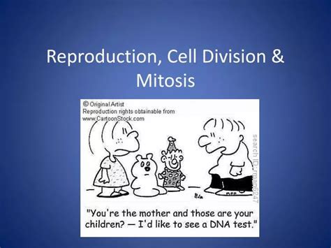PPT Reproduction Cell Division Mitosis PowerPoint Presentation ID 3140973