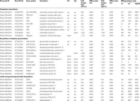 Analysis Of Transcript Abundance Changes Of Genes Associated With The Download Table