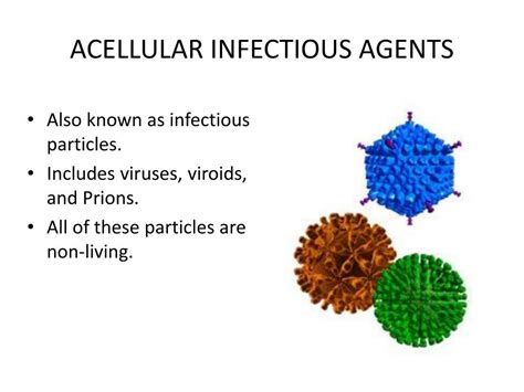 Ppt Exam Unit Two “survey Of Microbes” Powerpoint Presentation Free