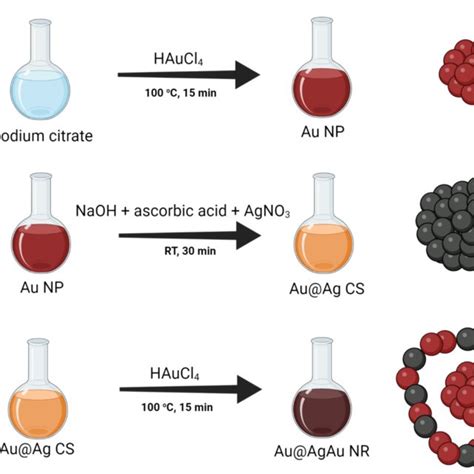Figure S1 Scheme For The Synthesis Of Au Nps Au Ag Core Shell Cs Download Scientific