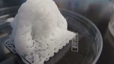 To Ease Shortage Of Organs Grow Them In A Lab Fox News