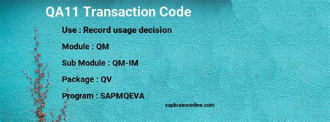 QA11 SAP Tcode For Record Usage Decision