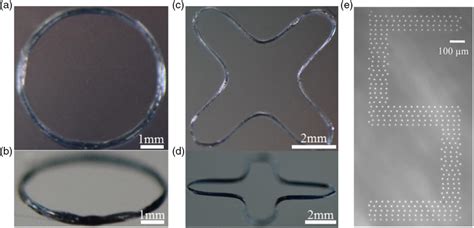 Ehd Printing Of Multilayer Curved Pedotpss‐peo Features Ab Optical