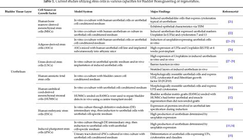 Figure 1 From The Current Use Of Stem Cells In Bladder Tissue Regeneration And Bioengineering