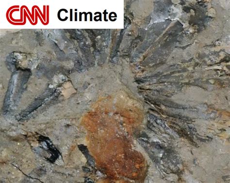 Earth Evolution Modelling