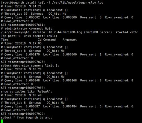 Teguh Triharto Learning Center Enable Slow Query Log In Mariadb