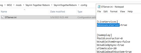 How To Create A Skyrim Together Server Ionos