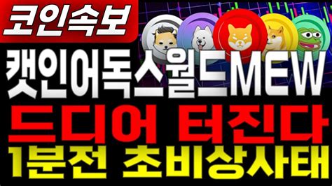 캣인어독스월드mew 코인전망 드디어 터진다 1월 20일 급등세 미리 축하드립니다 이제부터 시작입니다 캣인어독스월드mew 캣인어독스월드mew목표가 시세전망 호재