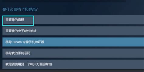 Steam