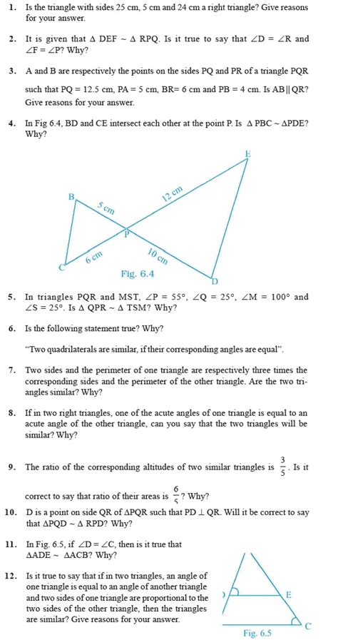 Triangles Questions Class 10 At David Pisani Blog