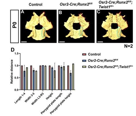 Figures And Data In Runx2 Twist1 Interaction Coordinates Cranial Neural