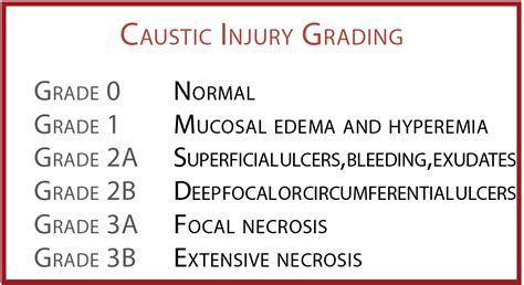 What Is Caustic Injury At Scarlett Hillier Blog