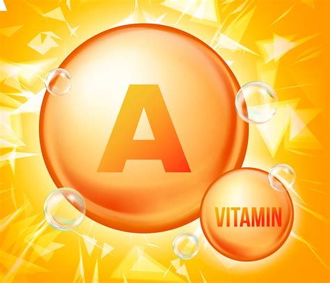 Vitaminas Esenciales Para La Salud La Vitalidad Y El Rendimiento