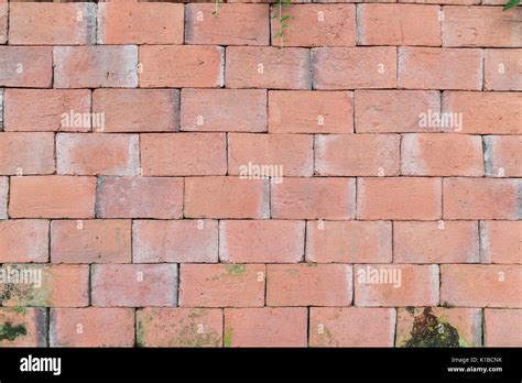 Old Red Brick Wall Seamless Illustration Background Texture Pattern
