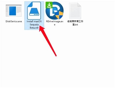 【老吴黑苹果】windows下黑苹果系统原版安装u盘制作方法 2024简单版 老吴黑苹果工作室