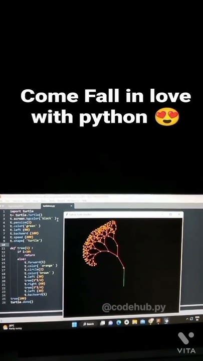 Come Fall In Love With Python ️ ️ Shorts Python Pythonprojects Pythonprogramming Youtube