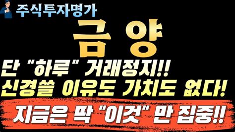 금양 주가전망 오늘 거래정지 신경쓰지 마세요 지금 집중 해야할건 딱 한가지 유상증자 일정 주주님들 수익전환 탈출 기회 절대 놓치지 마세요 Youtube